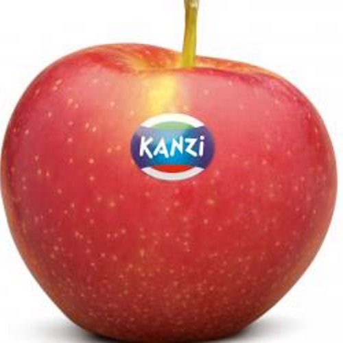 Kanzi - Pieter en Casper van Vliet