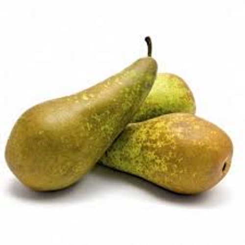 Conference peren - Pieter en Casper van Vliet